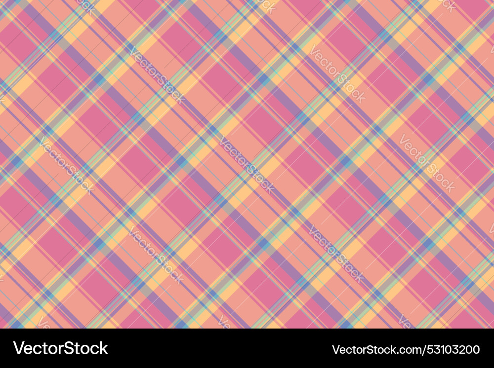 Decoration background plaid pattern invite Vector Image