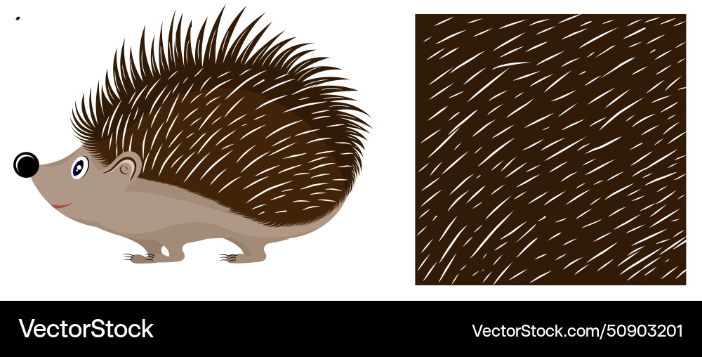Cartoon hedgehogs set Royalty Free Vector Image