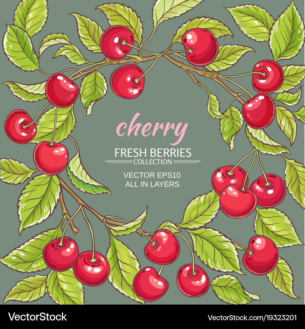 Cherry frame Royalty Free Vector Image - VectorStock