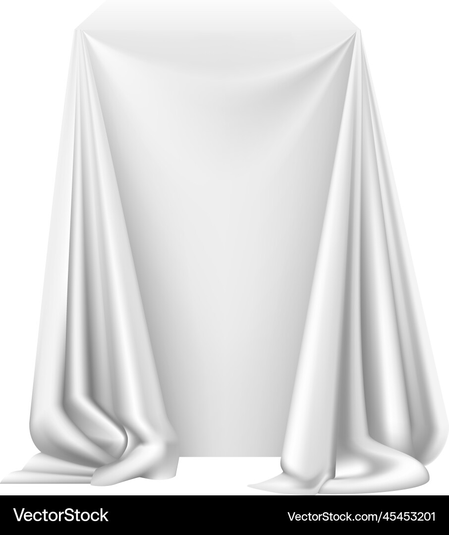 Realistic cloth covered object Royalty Free Vector Image