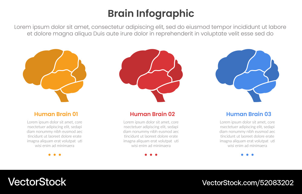 Human brain infographic template banner Royalty Free Vector