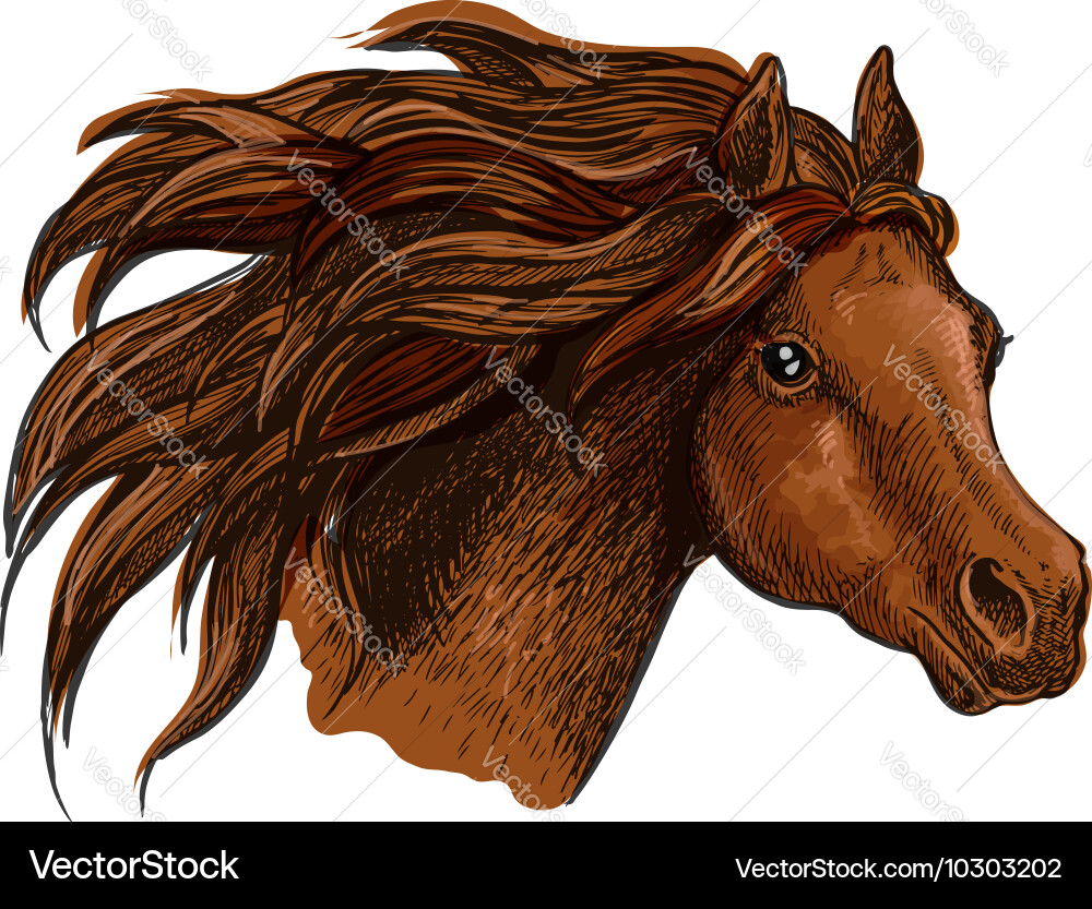 Running horse head close up portrait Royalty Free Vector