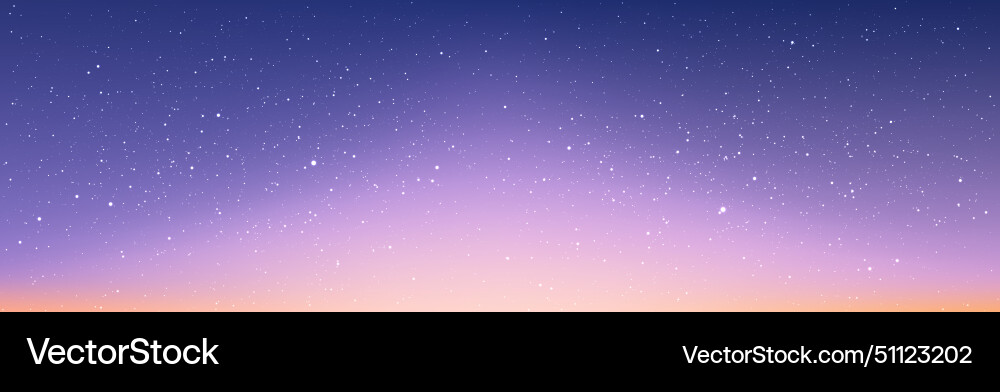 Starry Night Sky Background Royalty Free Vector Image