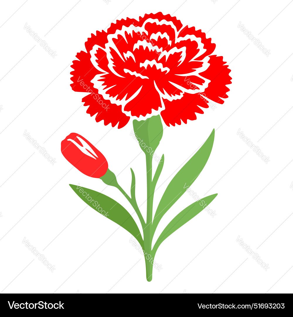 Carnation flower clip art Royalty Free Vector Image