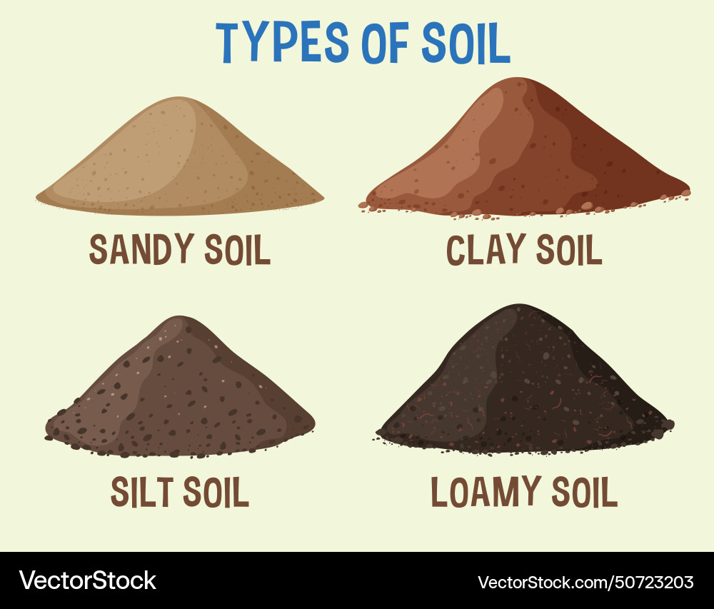 Four Soil Types: Sand, Clay, Silt, Loam – Royalty-Free Vector | VectorStock