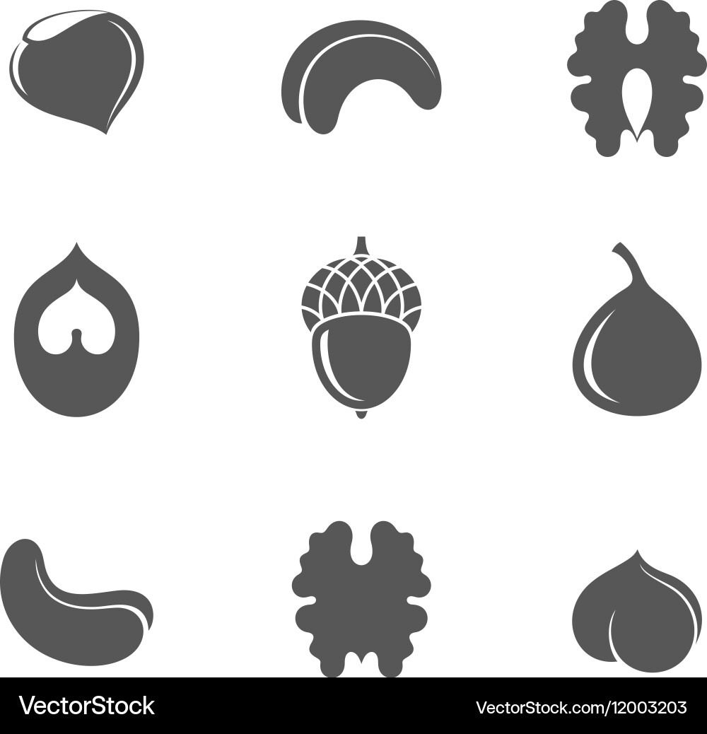 Nuts icon set Royalty Free Vector Image - VectorStock