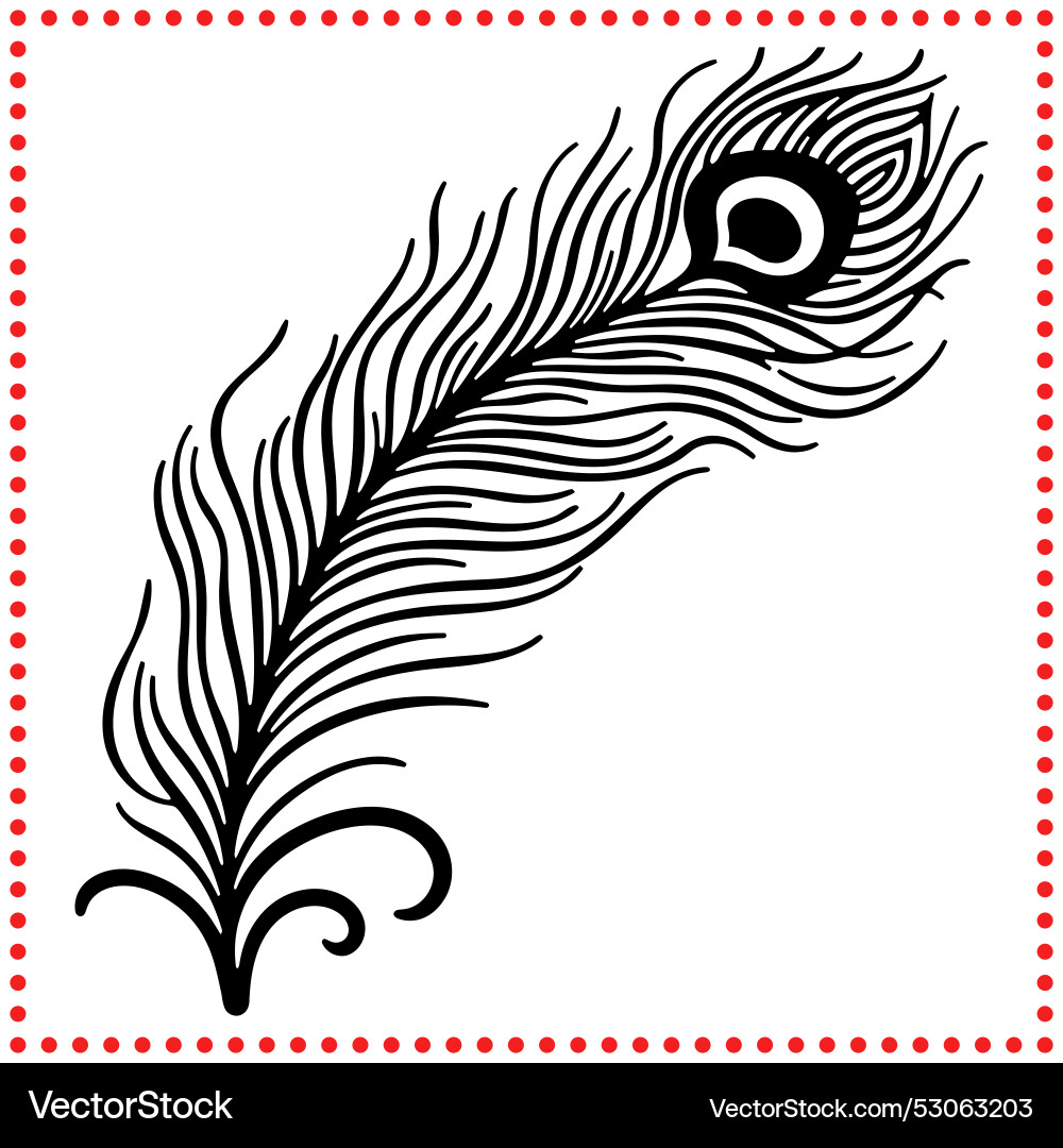 Stylized peacock feather perfect Royalty Free Vector Image