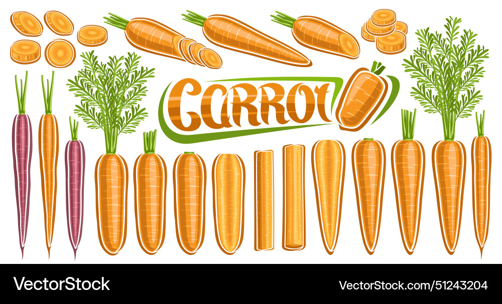 Carrot set Royalty Free Vector Image - VectorStock