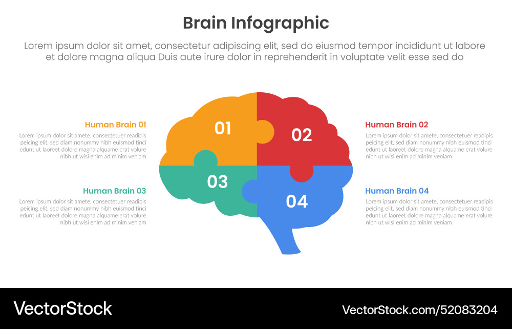 Human brain infographic template banner Royalty Free Vector