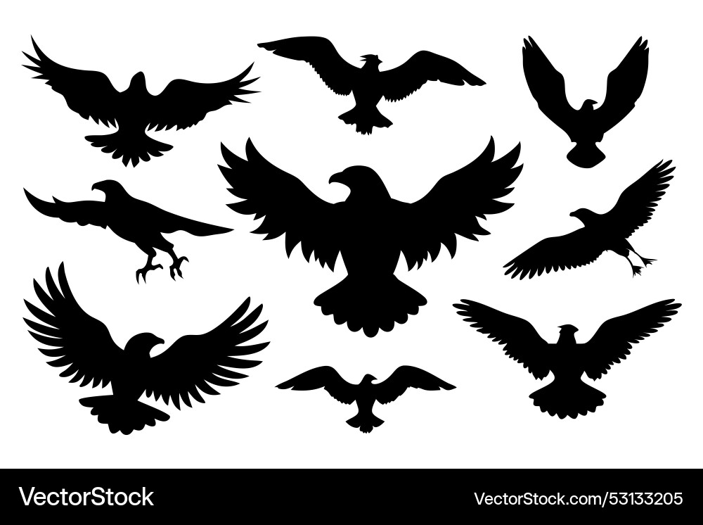Hand drawn silhouette collection of eagle flat Vector Image