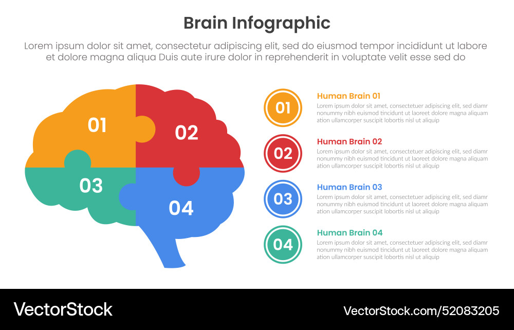 Human brain infographic template banner Royalty Free Vector