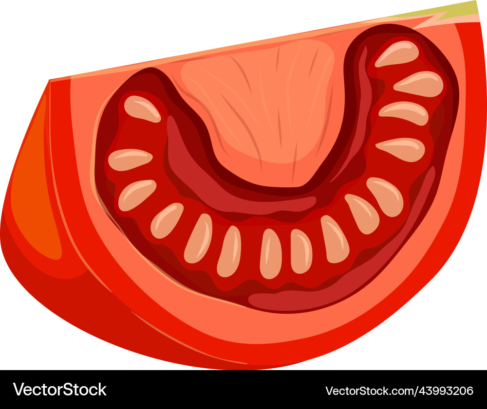 Tomato slice cartoon Royalty Free Vector Image