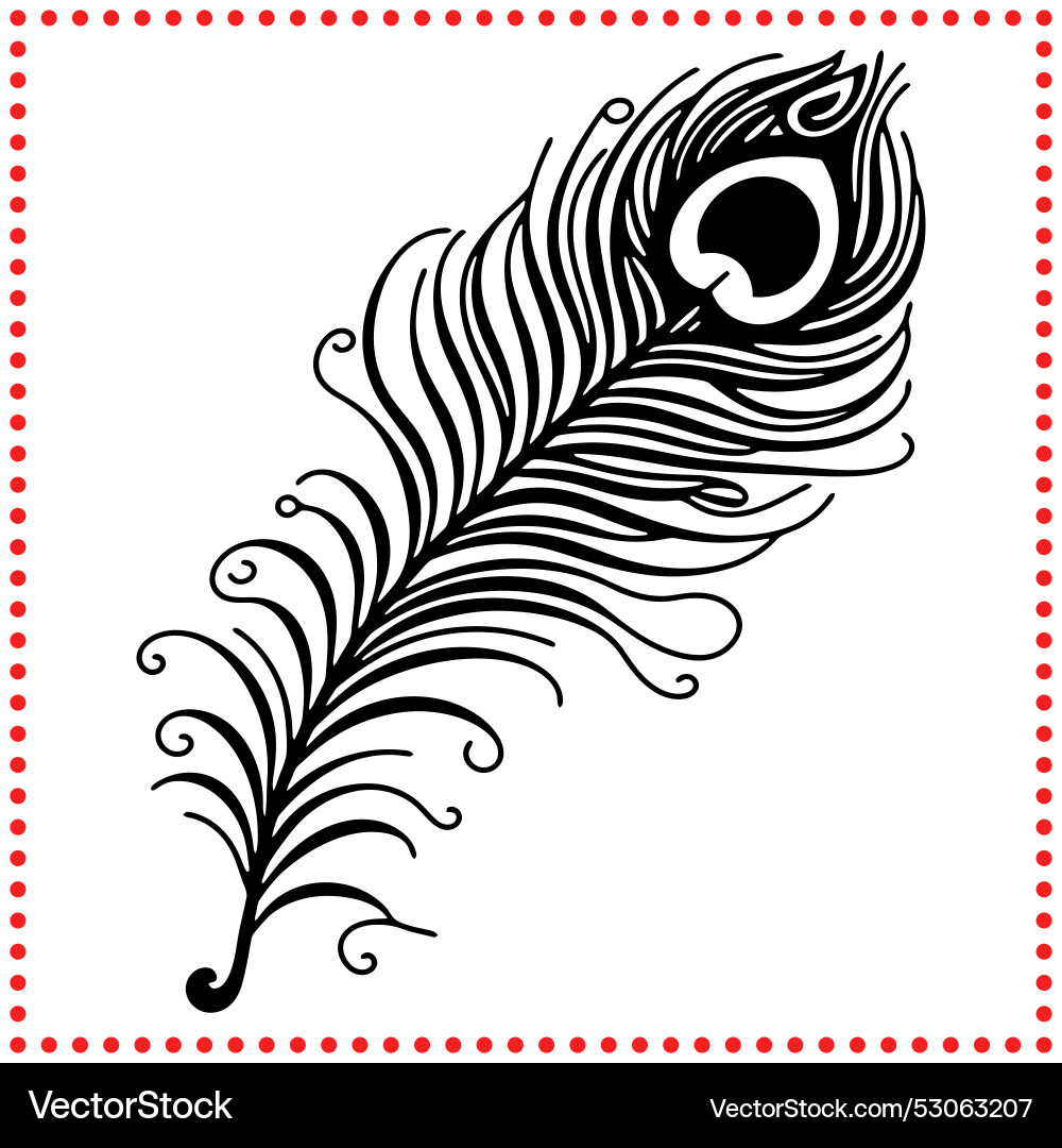 Beautiful peacock feather ideal for elegant Vector Image