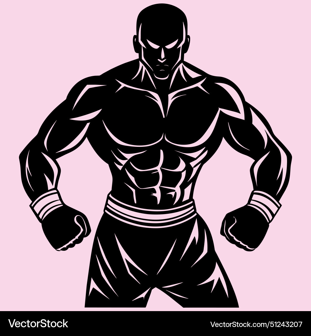 Dynamic boxing art Royalty Free Vector Image - VectorStock