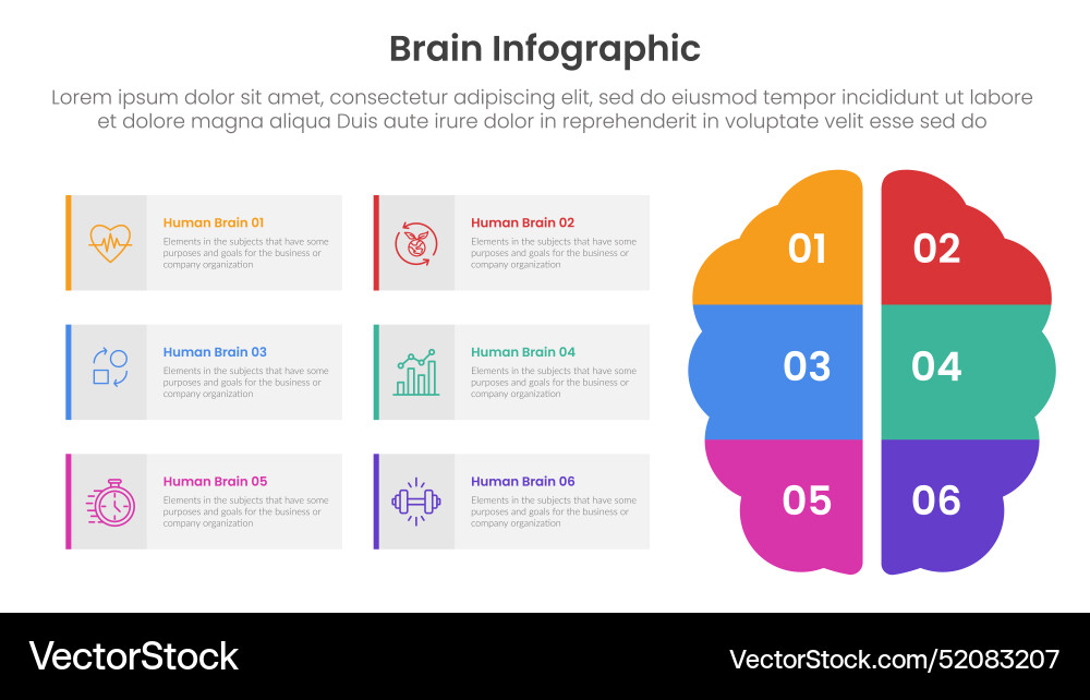 Human brain infographic template banner Royalty Free Vector