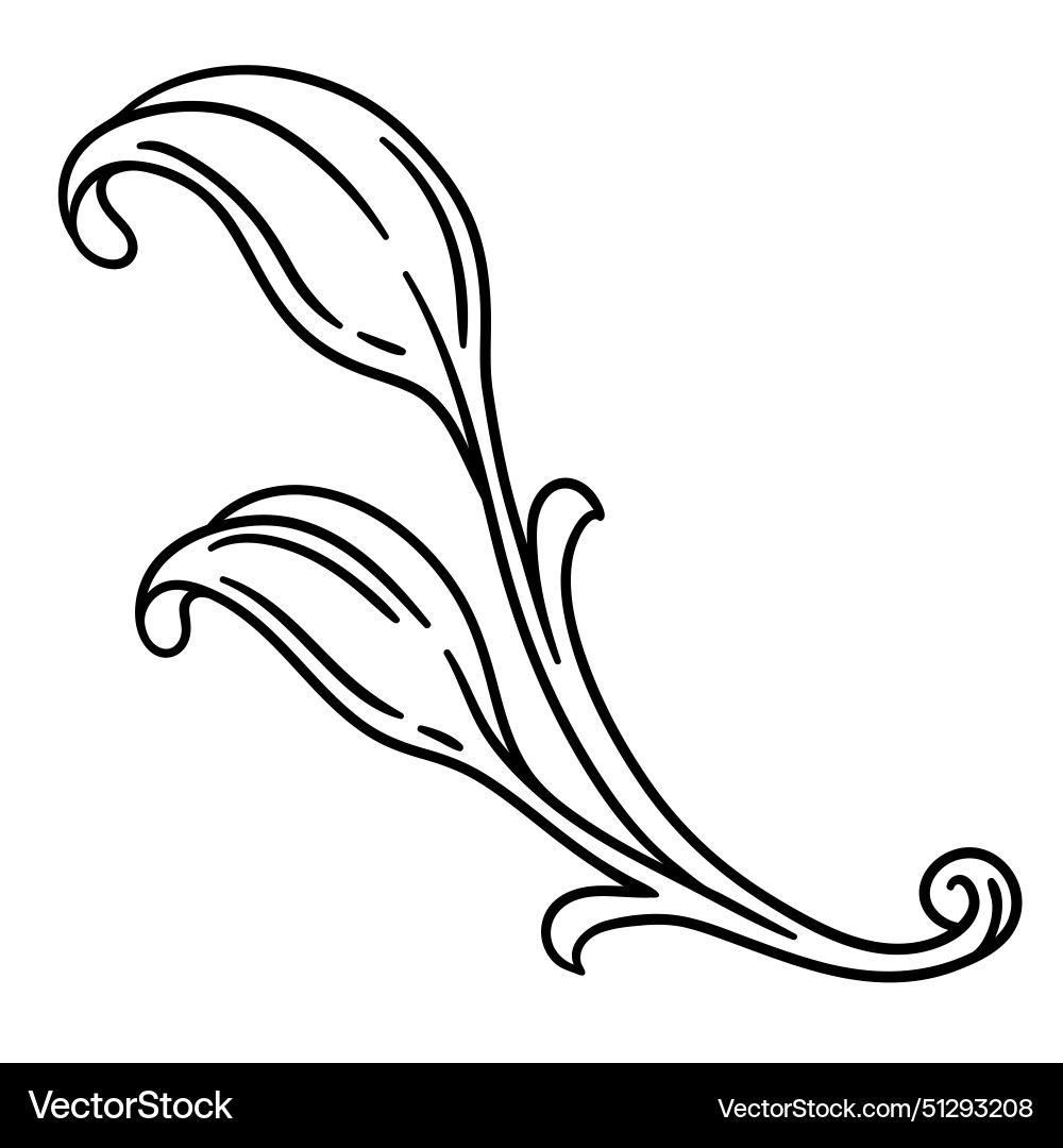 Floral element in baroque style decorative Vector Image