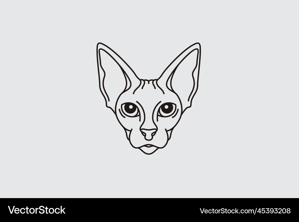 Sphynx cat sketch drawing coloring black white Vector Image