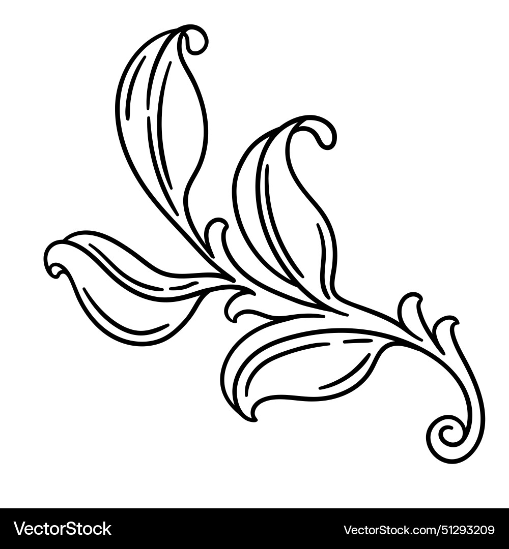 Floral element in baroque style decorative Vector Image