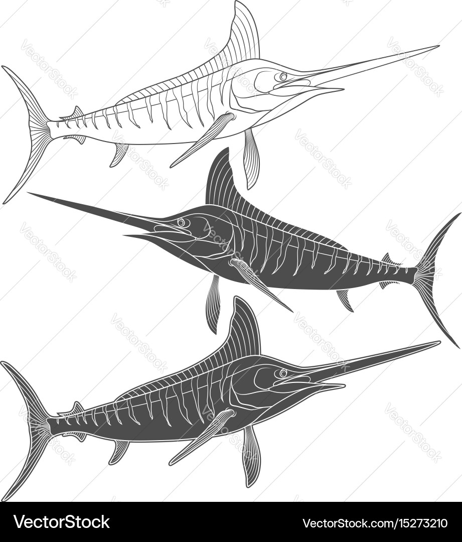 Black and White Marlin Silhouettes Royalty Free Vector Image