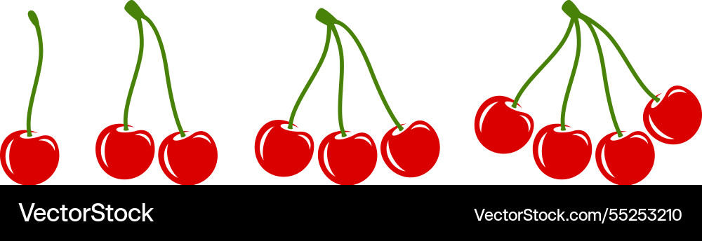 Cherry Royalty Free Vector Image - VectorStock