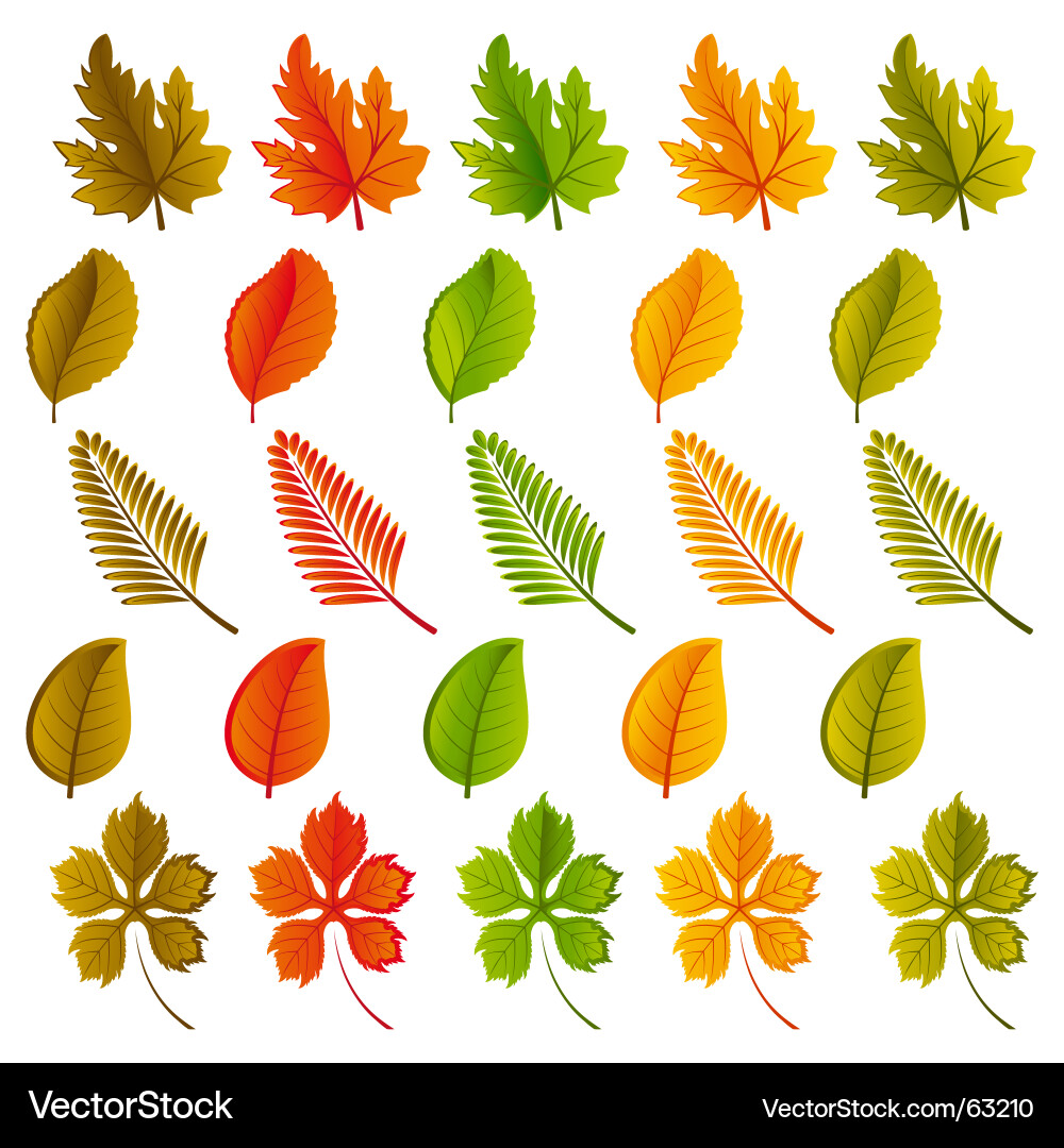 Free Leaves Vector Images (over 10,000)