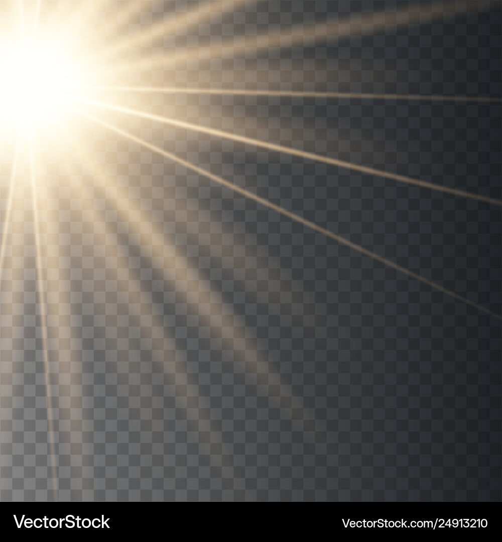 Glowing sunlight a transparent background Vector Image