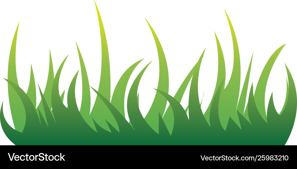 Grass template Royalty Free Vector Image - VectorStock