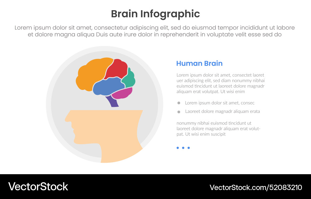 Human brain infographic template banner Royalty Free Vector