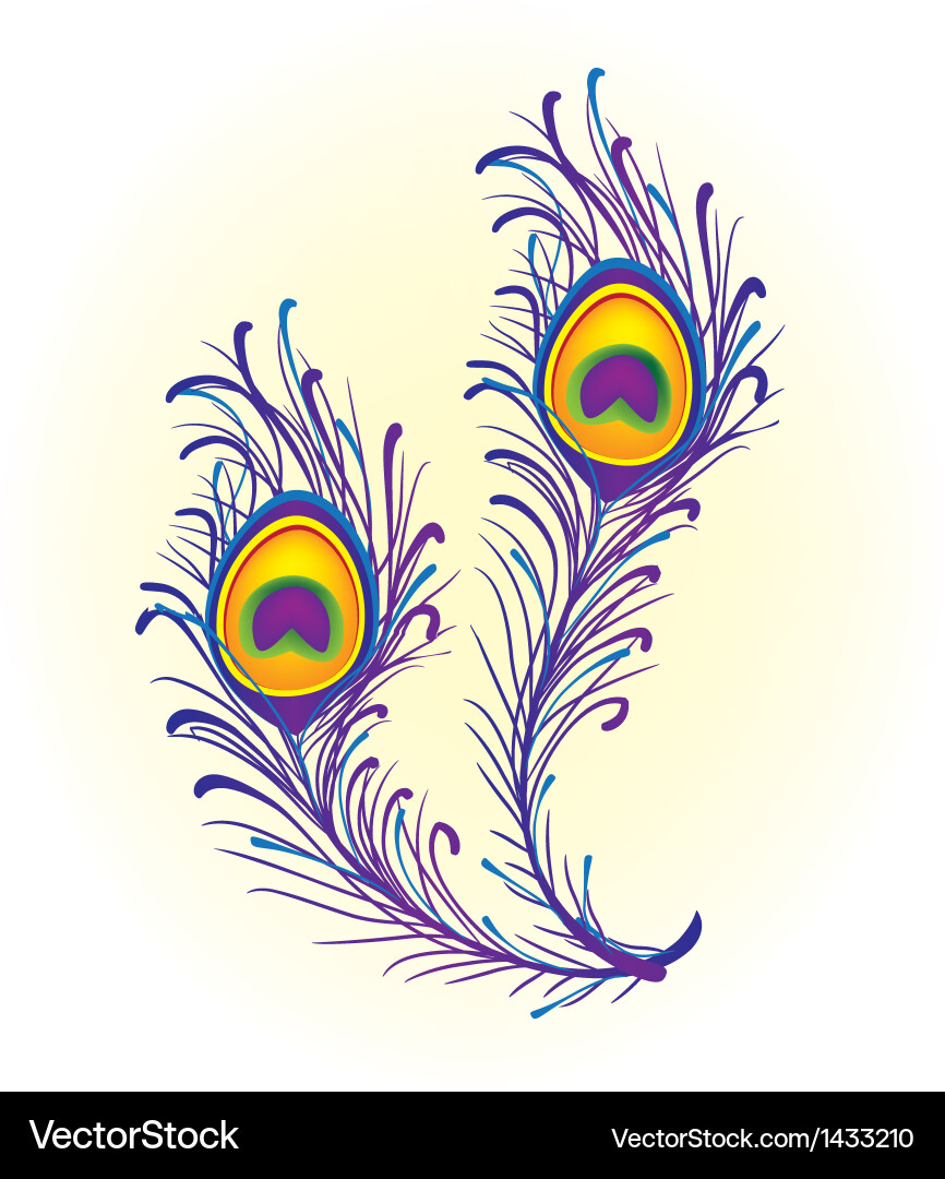 Stunning Peacock Feather Royalty Free Vector Image