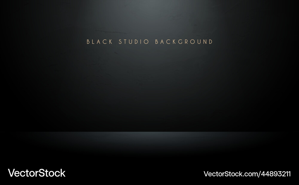 Blackstudio background Royalty Free Vector Image