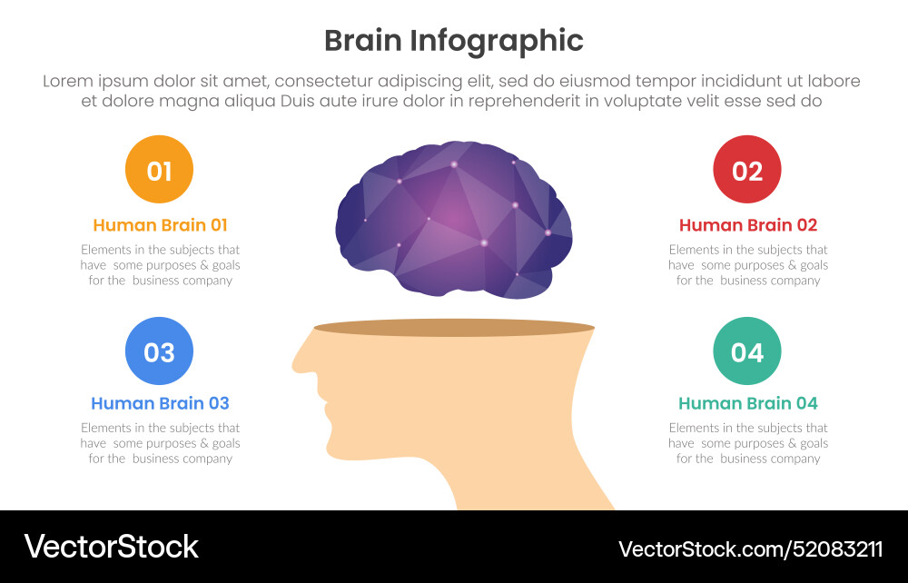 Human brain infographic template banner Royalty Free Vector