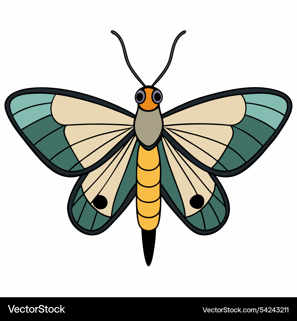 Long-tailed skipper butterfly on a white Vector Image