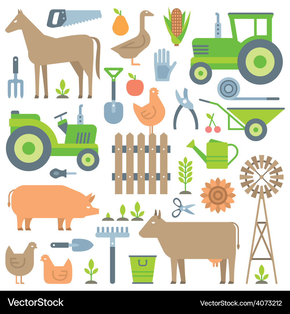 Farm pattern Royalty Free Vector Image - VectorStock
