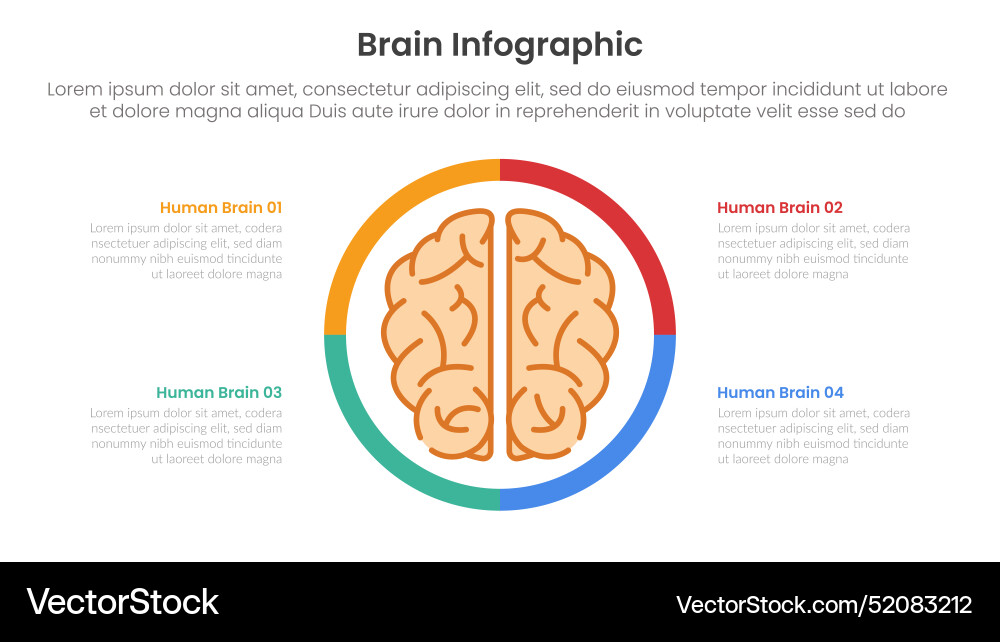 Human brain infographic template banner Royalty Free Vector
