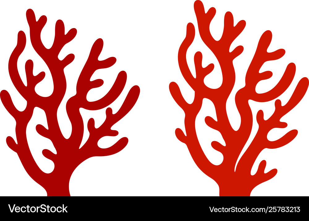 Coral Royalty Free Vector Image - VectorStock