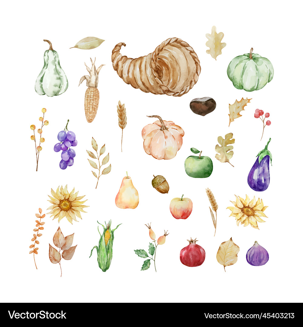 Thanksgiving watercolor elements cornucopia Vector Image