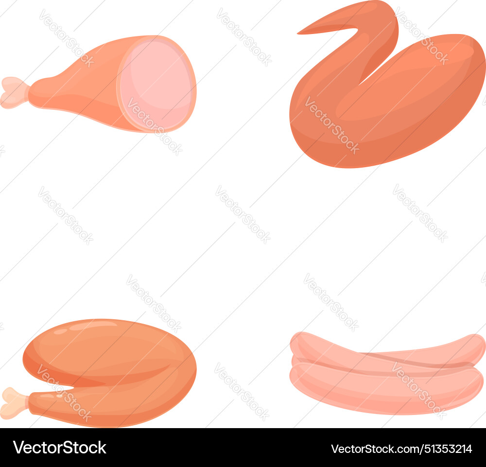 Meat product icons set cartoon different Vector Image