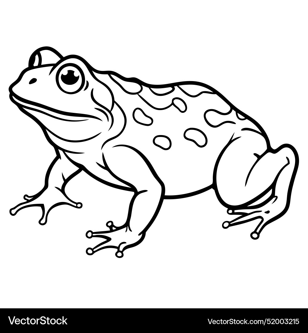 Common toad frog walks icon Royalty Free Vector Image