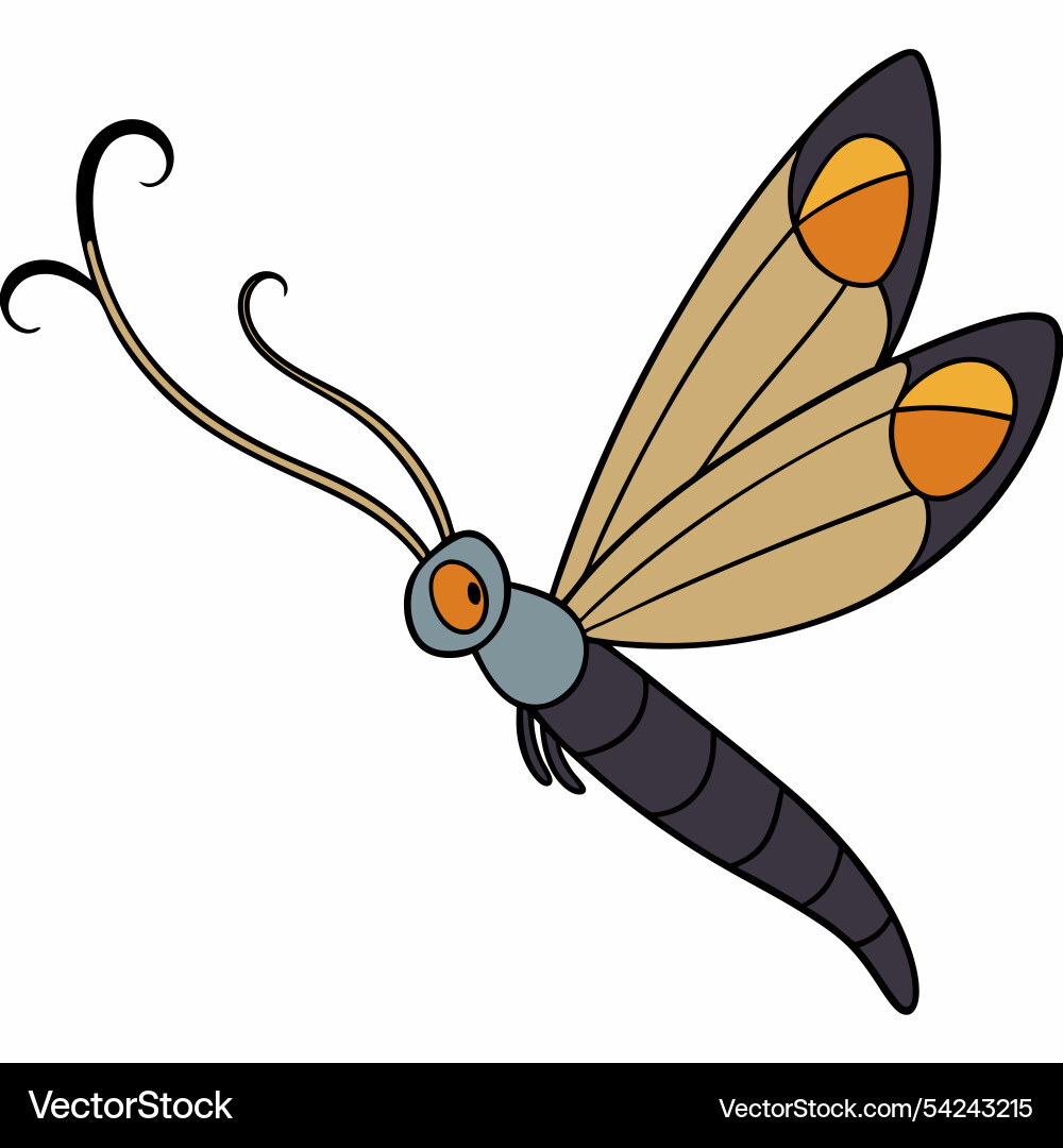 Long-tailed skipper butterfly on a white Vector Image