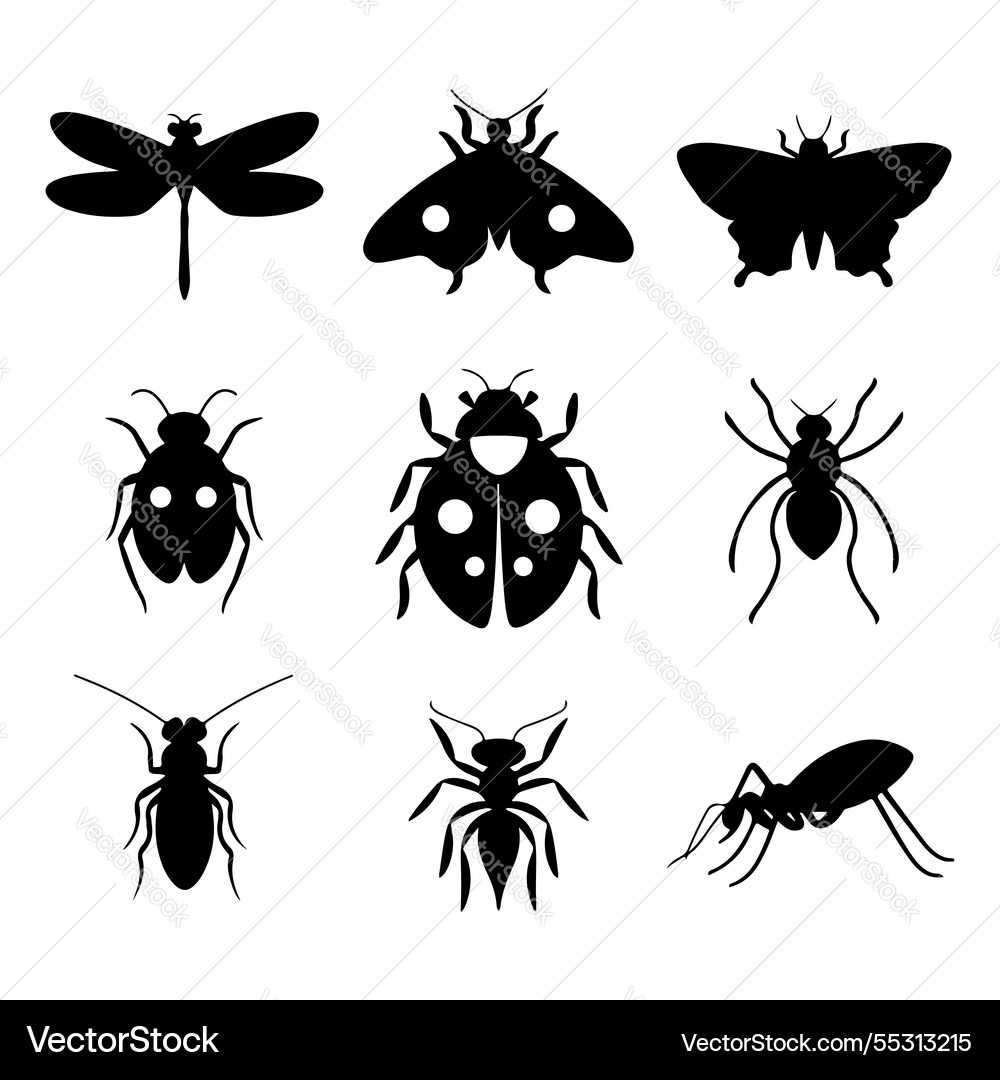 Nine Insect Silhouettes Royalty Free Vector Image