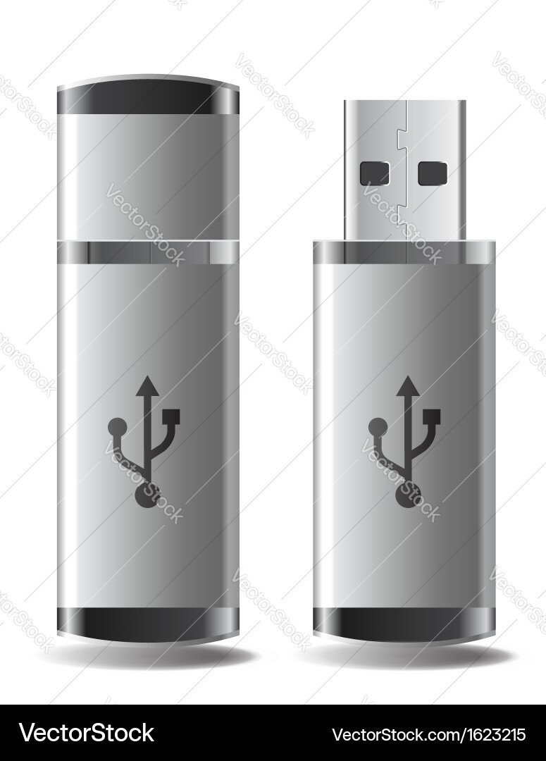 USB Flash Drive Icon Royalty Free Vector Image