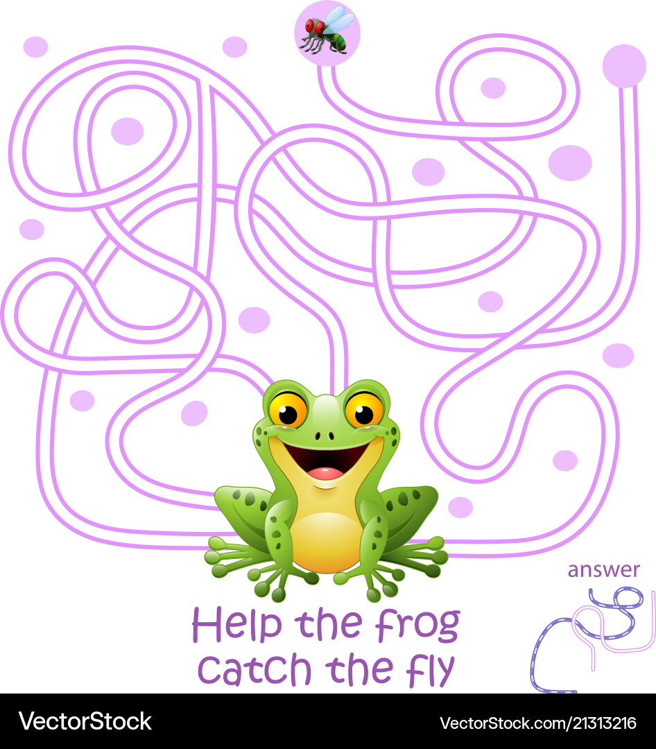 Card with maze game help the frog catch fly Vector Image