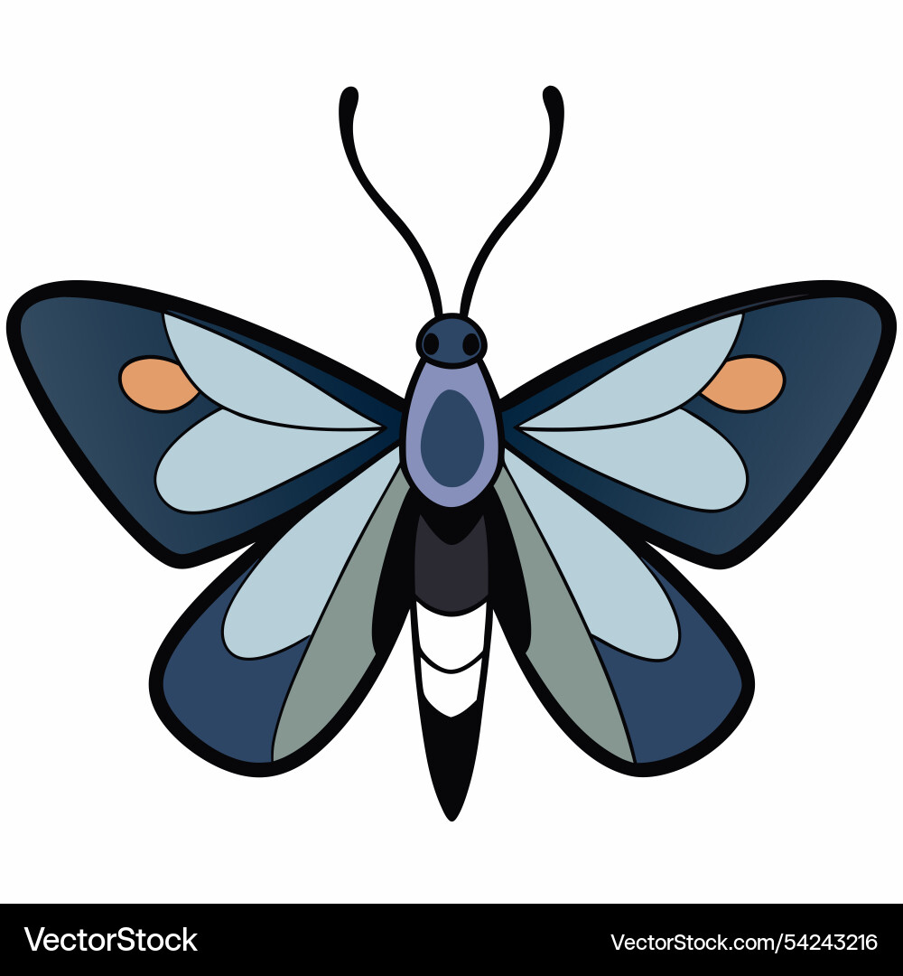 Long-tailed skipper butterfly on a white Vector Image