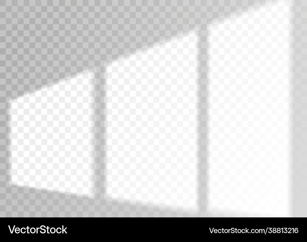 Transparent overlay window and blinds shadow Vector Image
