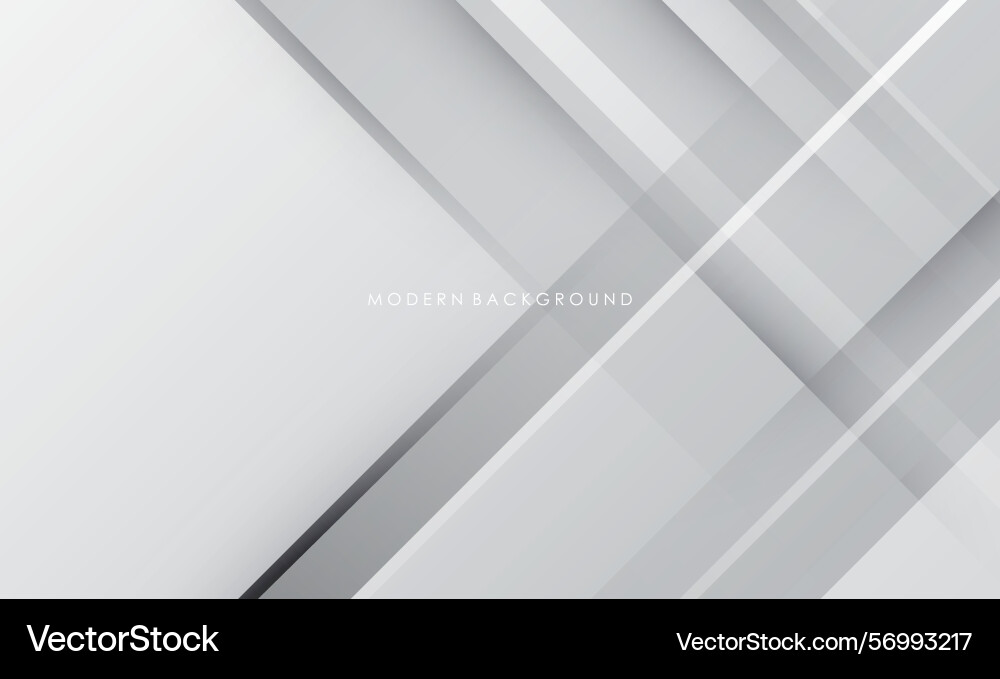 Abstract background white and grey dynamic Vector Image