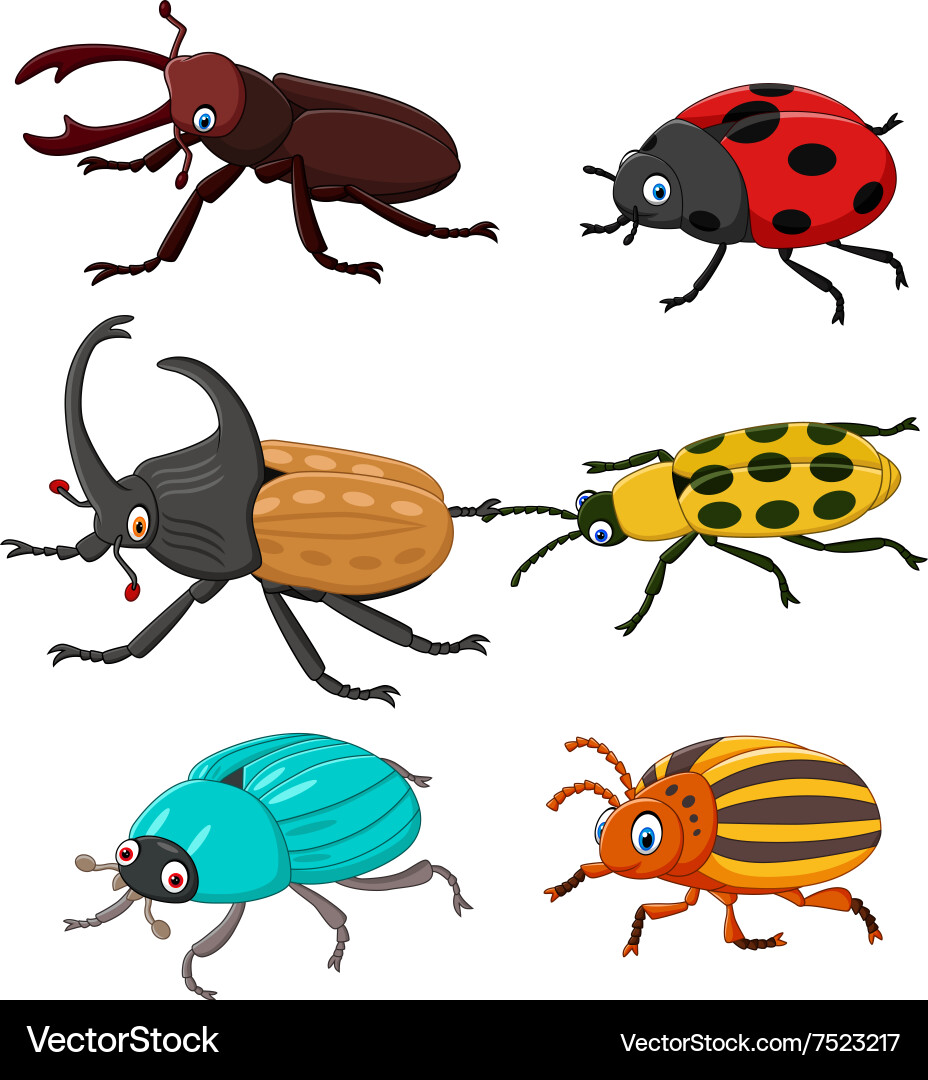 Cartoon funny beetle collection Royalty Free Vector Image