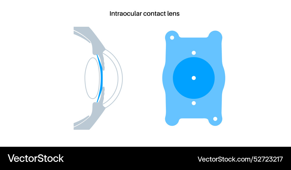 Evo icl poster Royalty Free Vector Image - VectorStock
