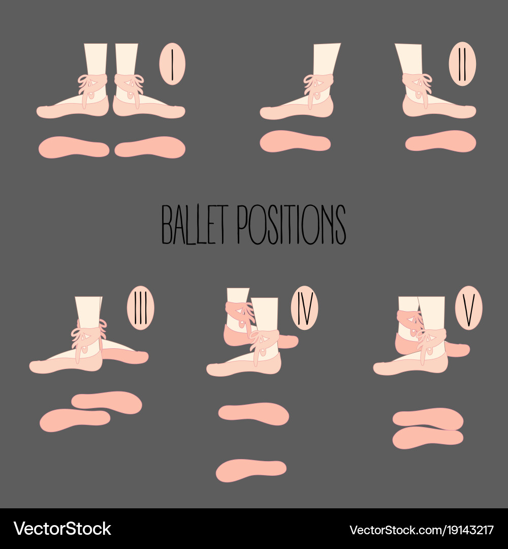 Five ballet position legs Royalty Free Vector Image
