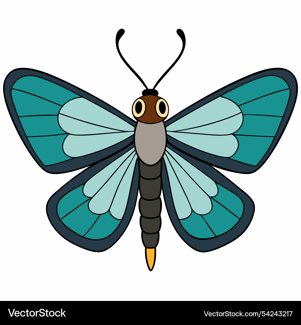 Long-tailed skipper butterfly on a white Vector Image