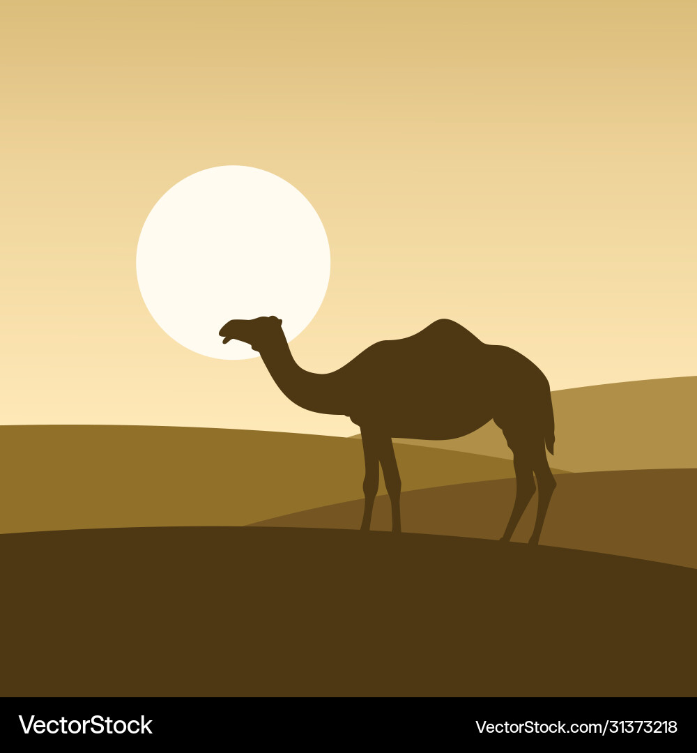Camel in desert Royalty Free Vector Image - VectorStock
